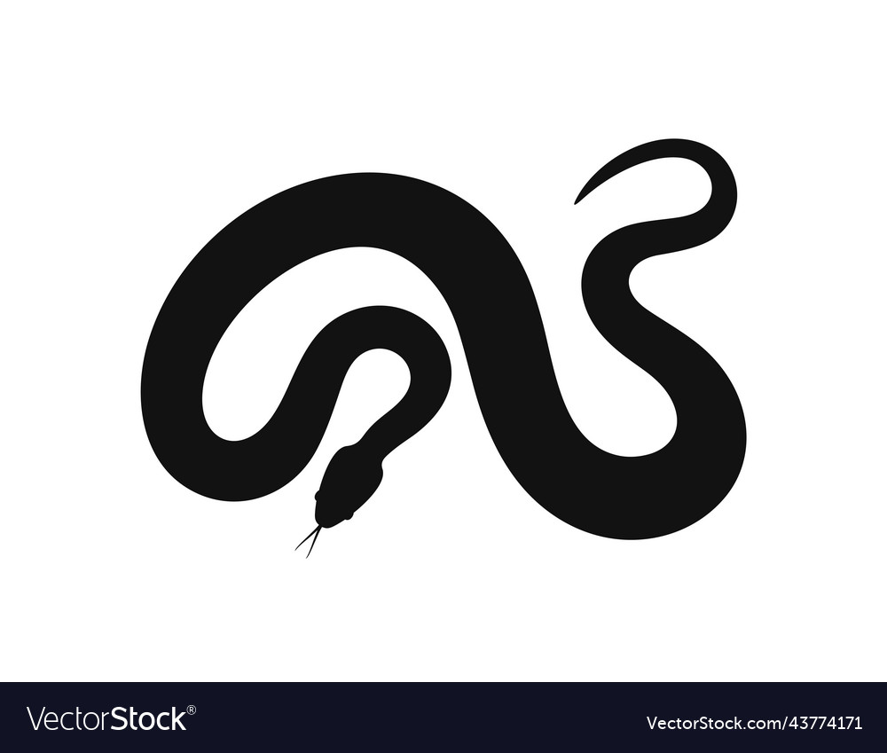 Snake Royalty Free Vector Image - VectorStock