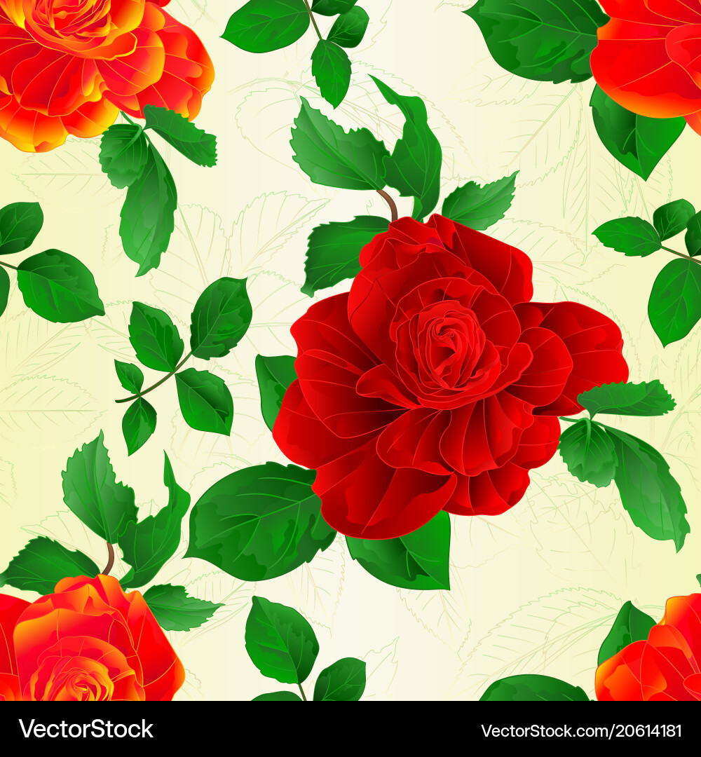 Seamless texture stem flower red and orange roses Vector Image