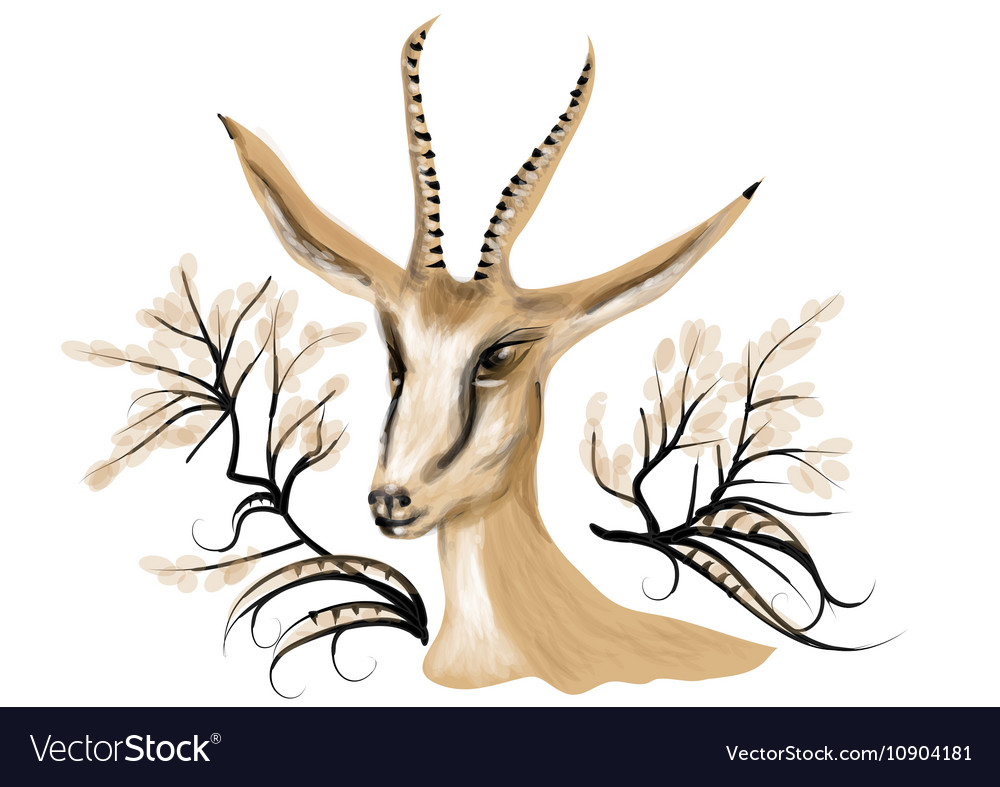 Springbok Royalty Free Vector Image - VectorStock