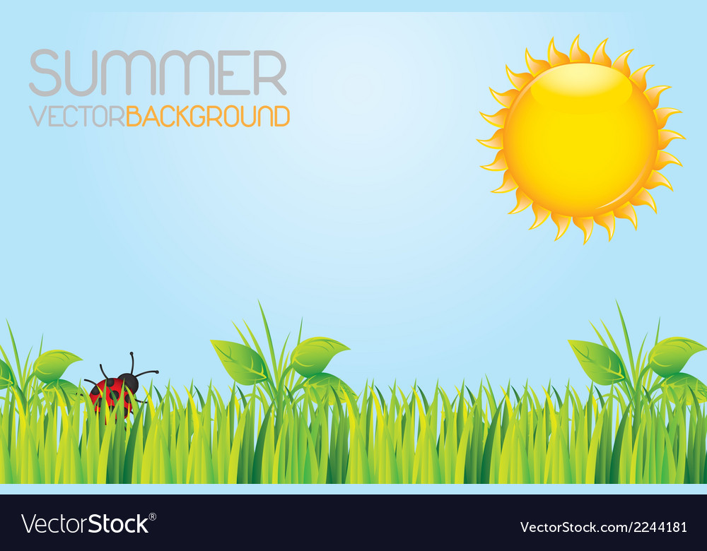 Summer Royalty Free Vector Image - VectorStock