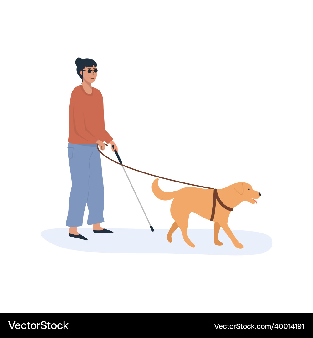 A guide dog with blind person walking together Vector Image