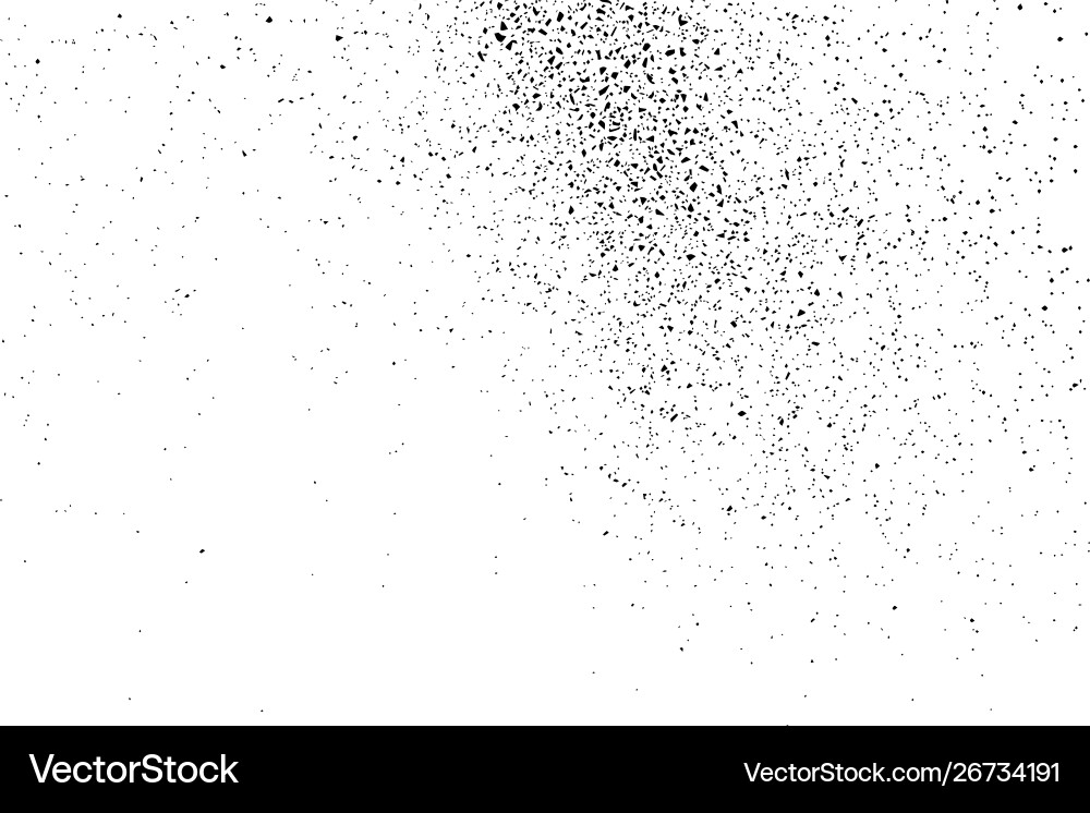 Abstract grainy texture isolated on white Vector Image