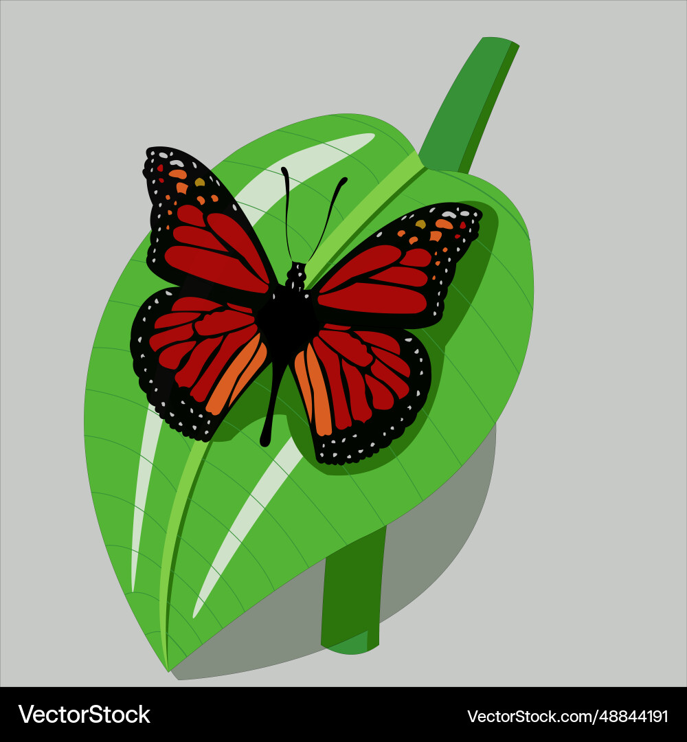 Butterfly Royalty Free Vector Image - VectorStock