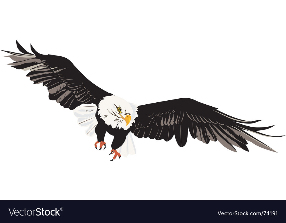 Eagle Royalty Free Vector Image - VectorStock