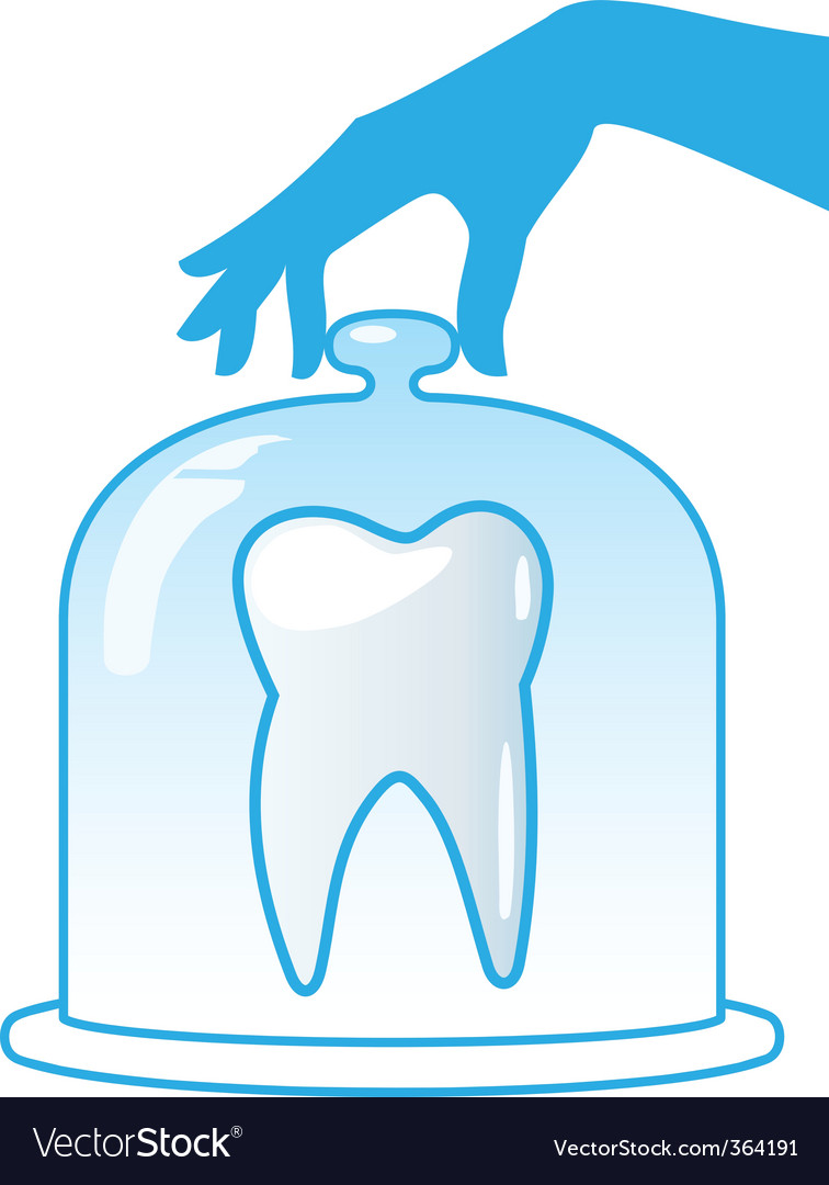 Healthy tooth Royalty Free Vector Image - VectorStock