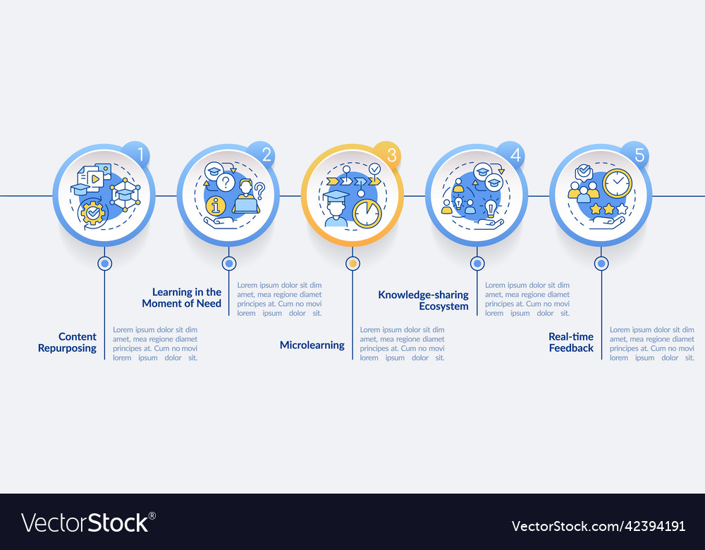 Top skills to learn circle infographic template Vector Image
