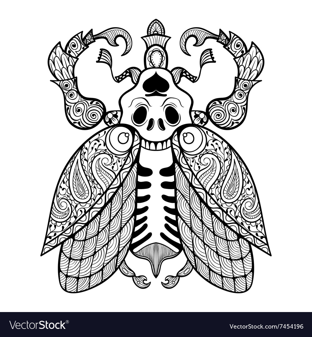 Coloring page of Bug with skull zentangle Vector Image