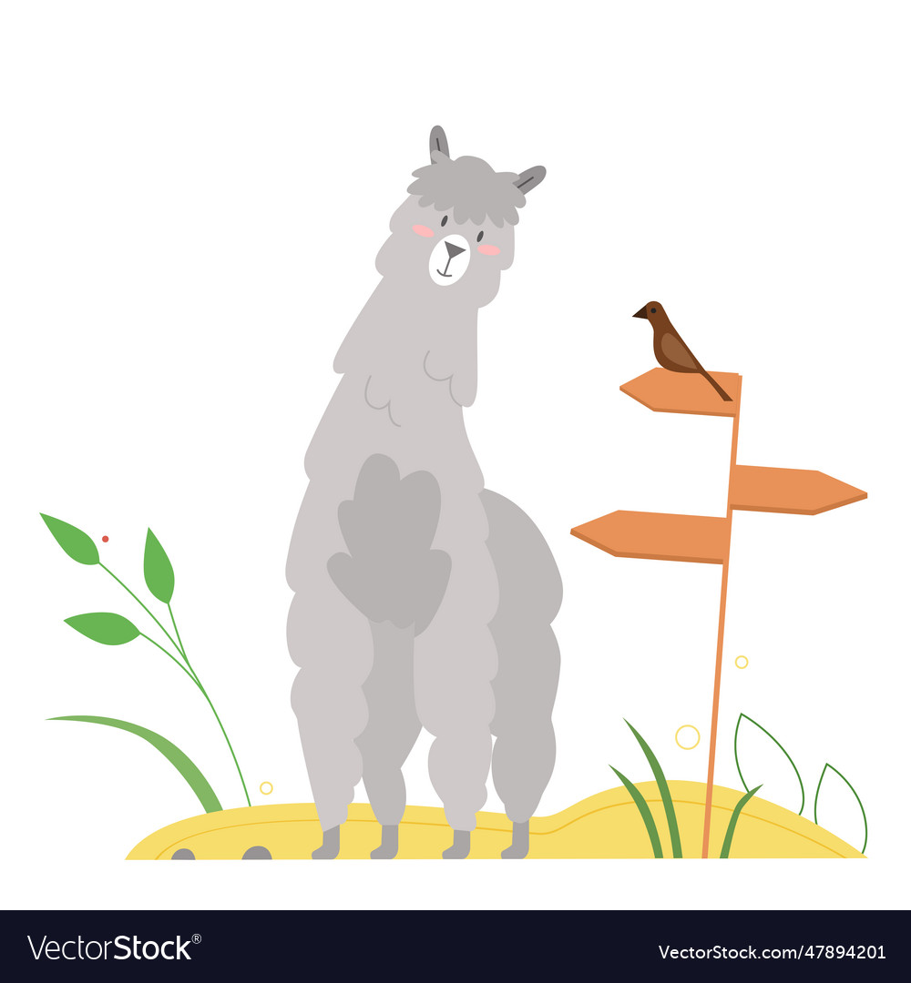 Cute llama alpaca Royalty Free Vector Image - VectorStock