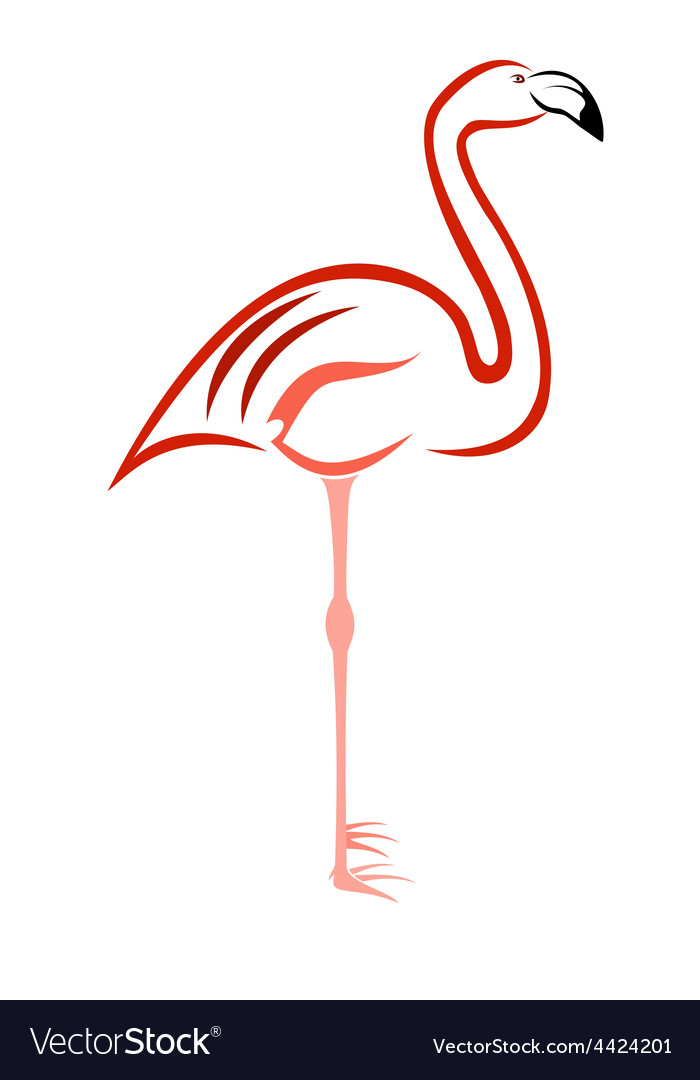 Flamingo Royalty Free Vector Image - VectorStock