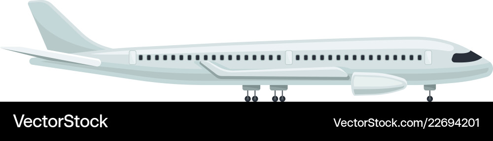 Large passenger airplane side view air transport Vector Image
