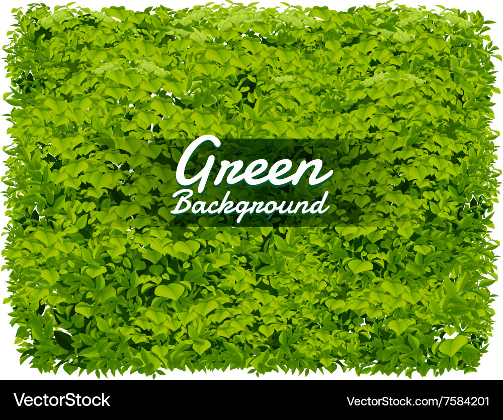 Leaf background texture Royalty Free Vector Image