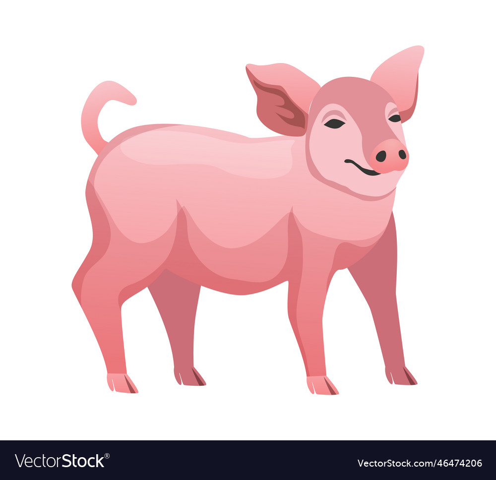 Flat pig Royalty Free Vector Image - VectorStock