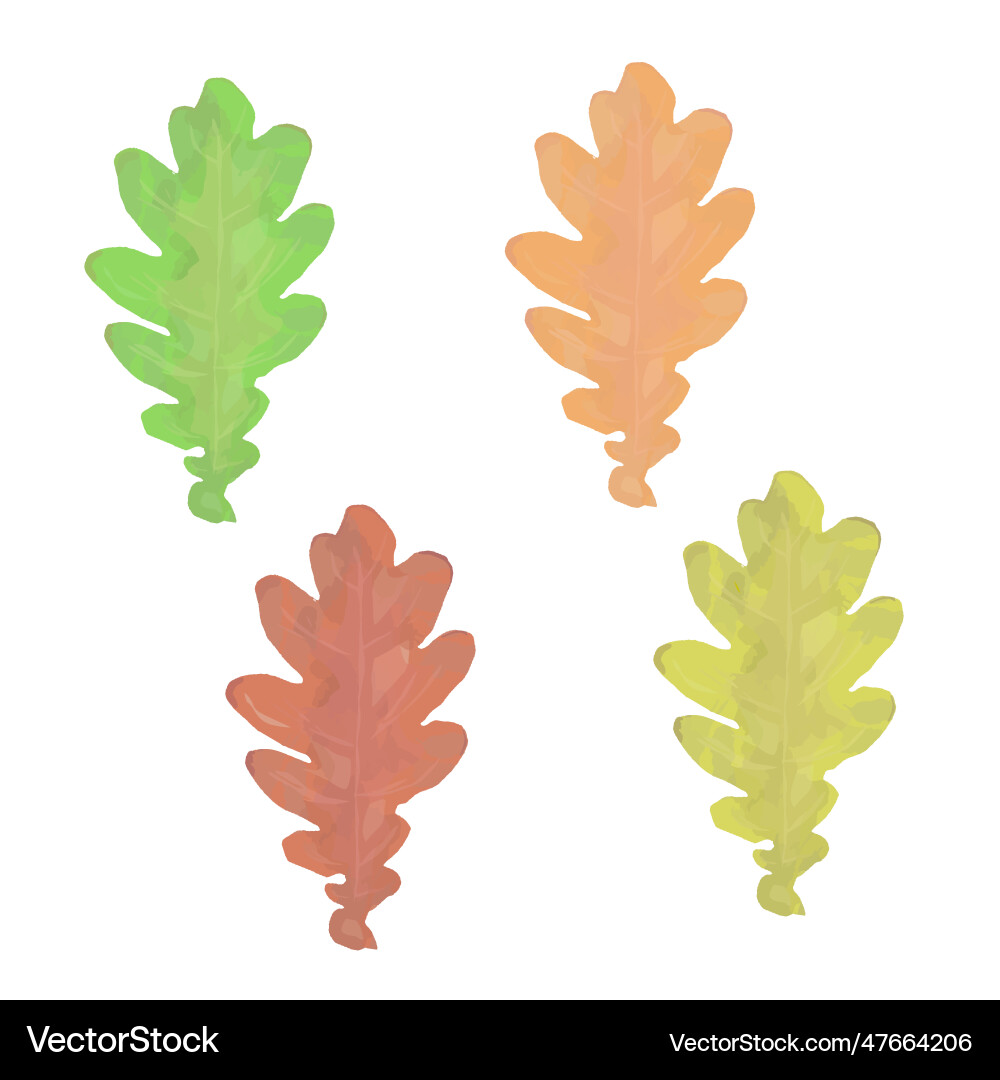 Set of oak leaves Royalty Free Vector Image - VectorStock