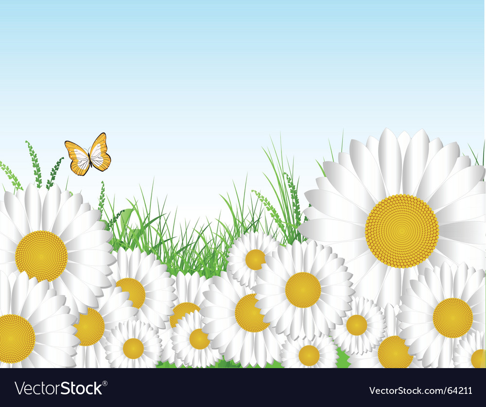 Daisy Royalty Free Vector Image - VectorStock