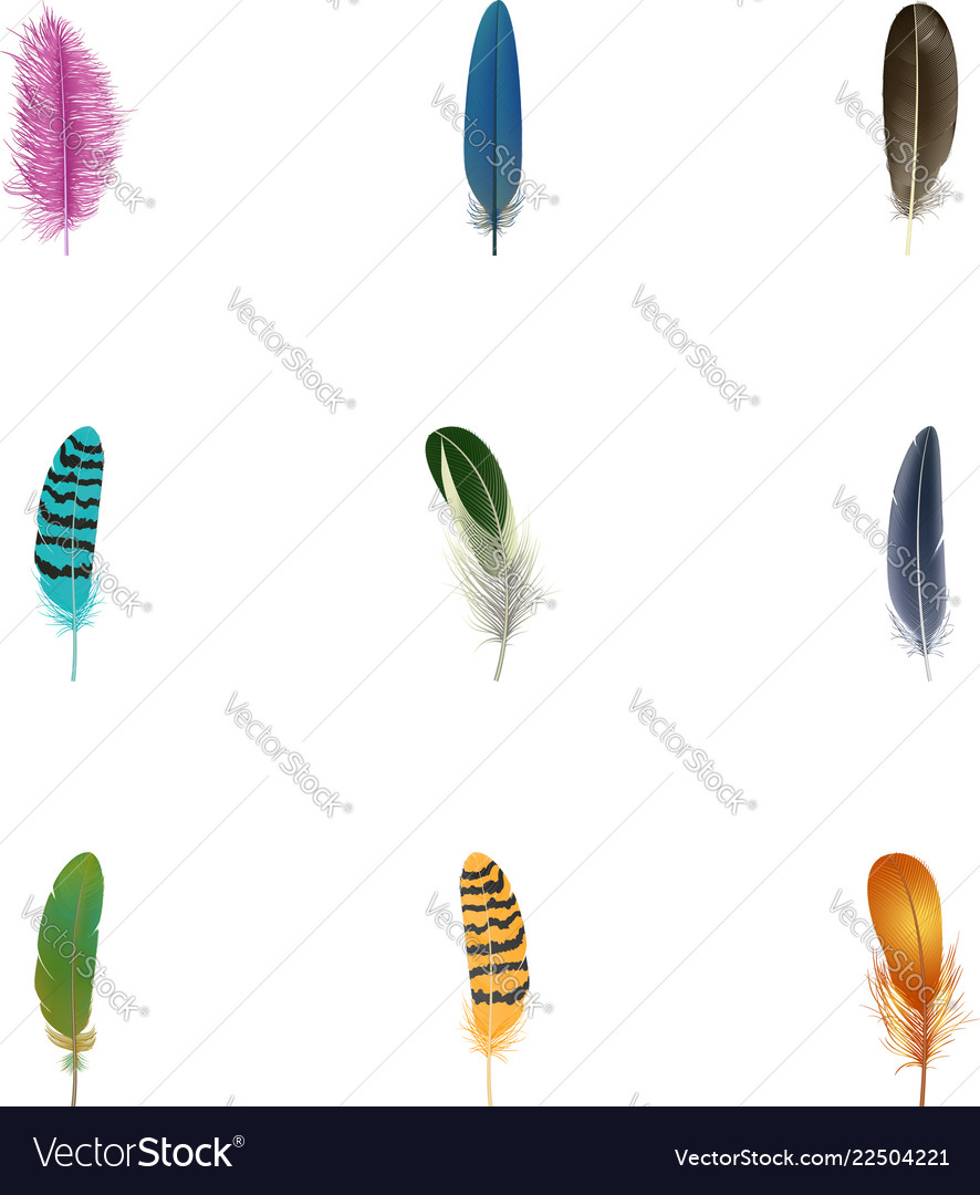 Fashion feather icon set realistic style Vector Image