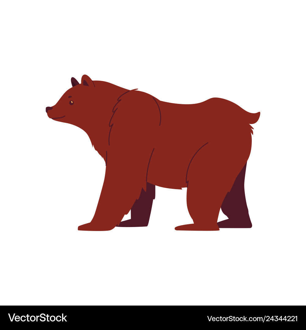 Grizzly and brown bear in a flat cartoon style Vector Image