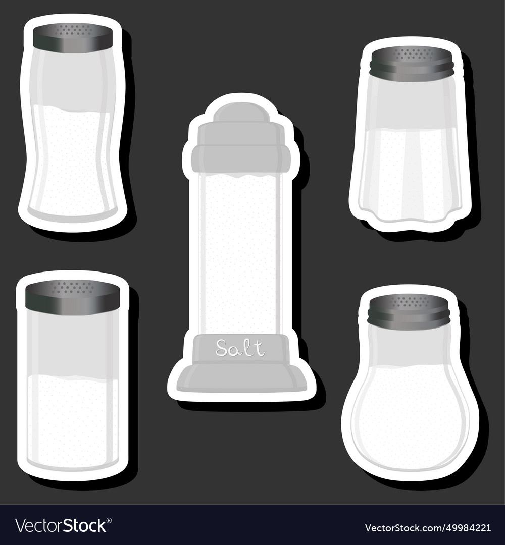 On theme big set different types ware filled salt Vector Image