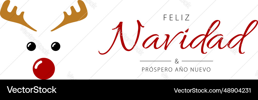 Christmas banner with lettering in spanish Vector Image