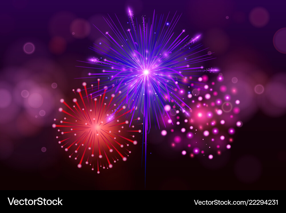 Festive colorful fireworks on black background Vector Image