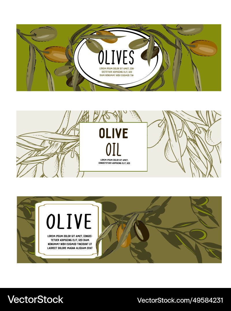Food label design and packaging ideas for olive Vector Image