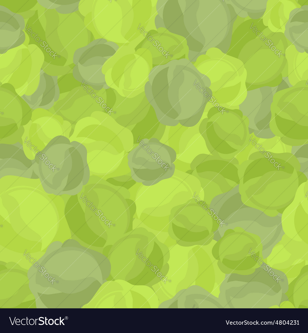 Green cabbage pattern seamless background Vector Image