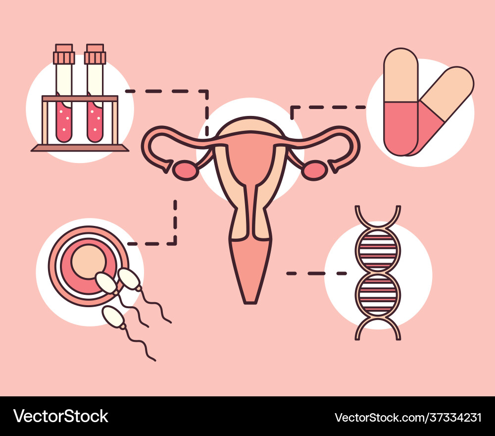 Gynecology medical set Royalty Free Vector Image