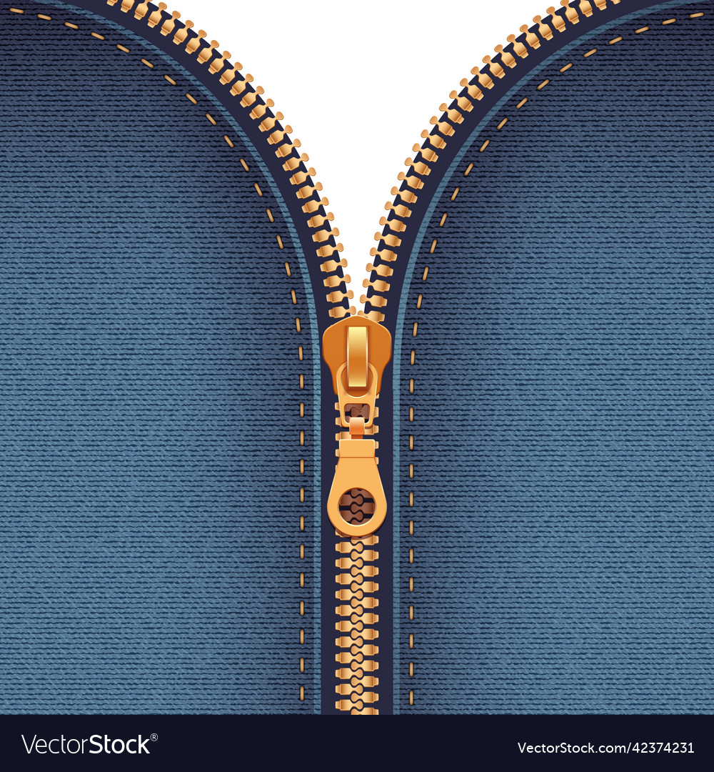 Zipper realistic background Royalty Free Vector Image