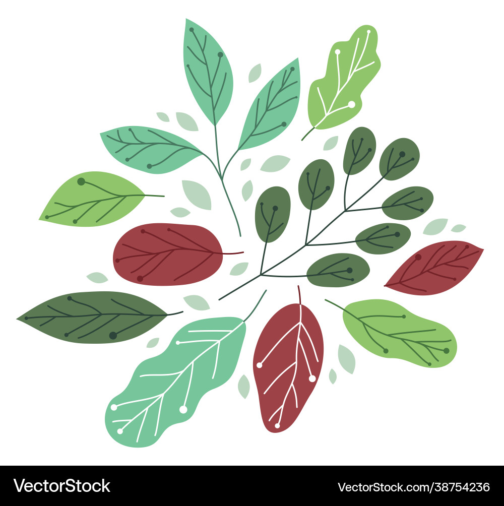 Beautiful fresh green leaves flat style isolated Vector Image