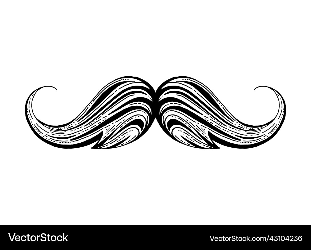 Moustache sketch isolated mustache icon Royalty Free Vector