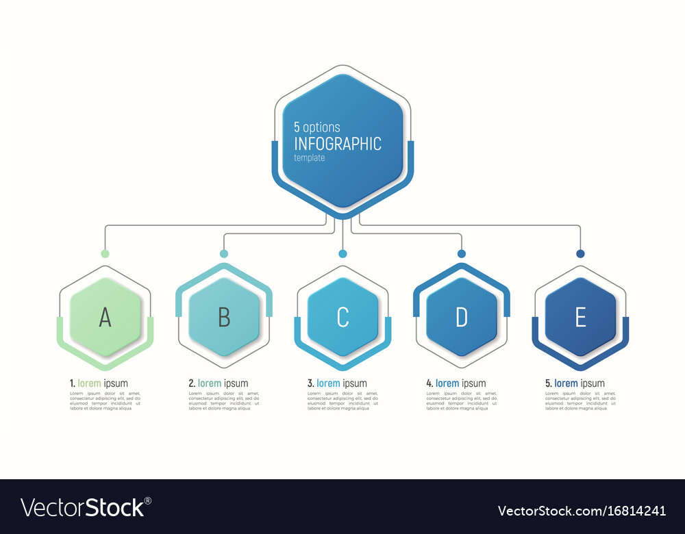 Infographic template for data visualization 5 Vector Image