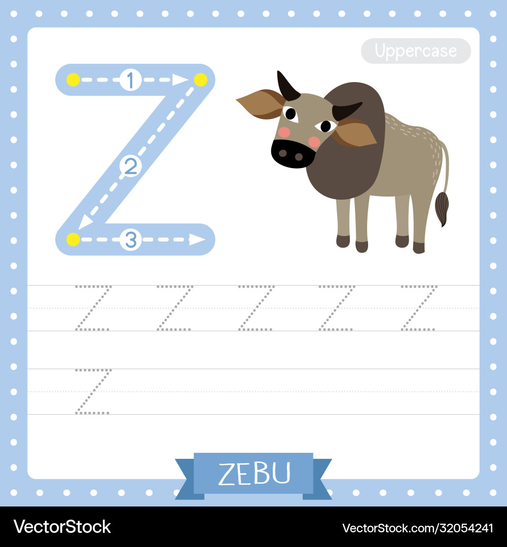 Letter z uppercase tracing practice worksheet Vector Image