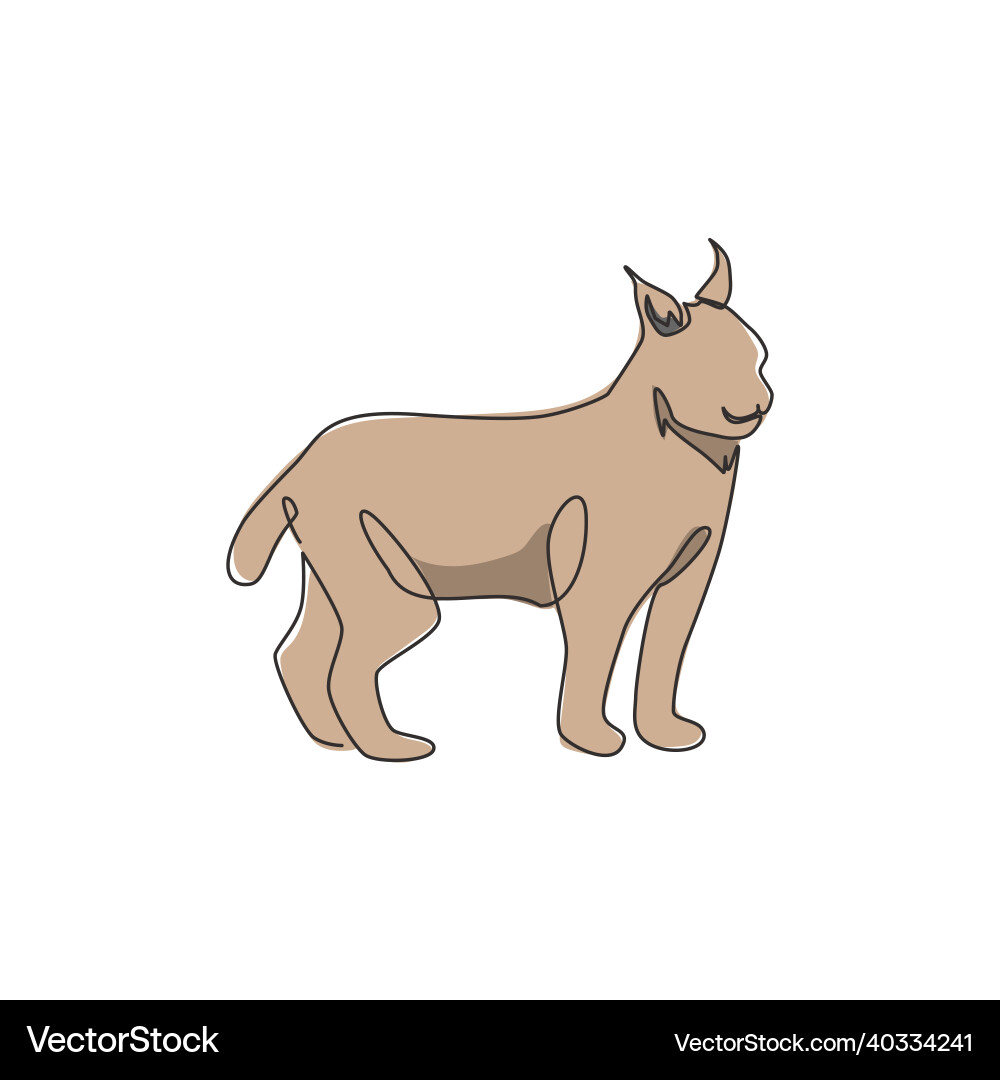 Single continuous line drawing of stout lynx cat Vector Image