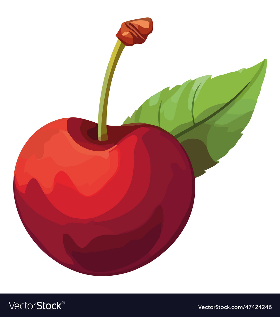 Red cherry design Royalty Free Vector Image - VectorStock