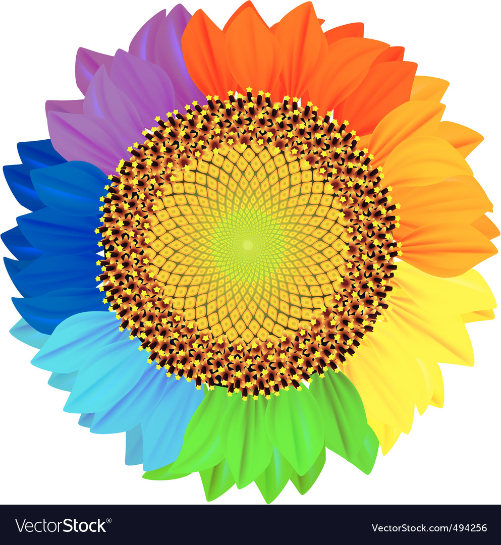 Sunflower Royalty Free Vector Image - VectorStock