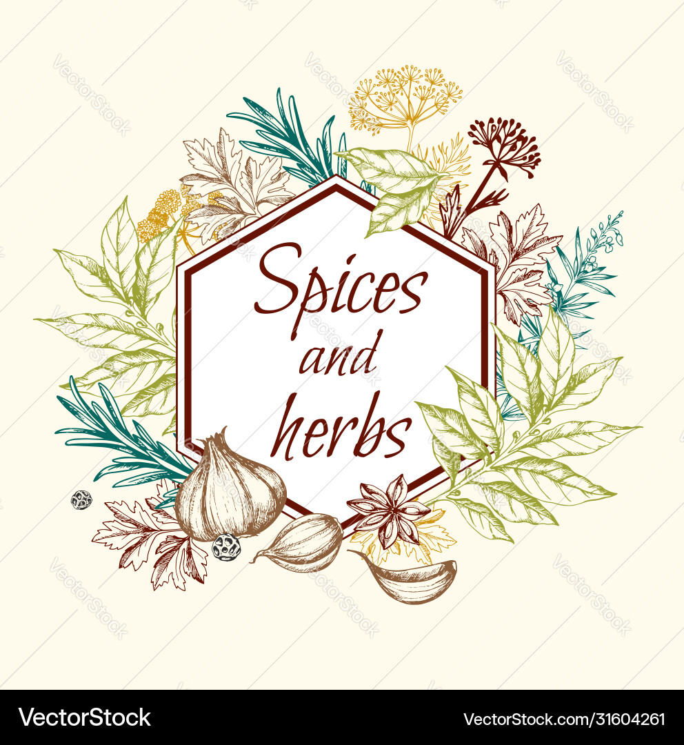 Floral background with spices and herbs Royalty Free Vector