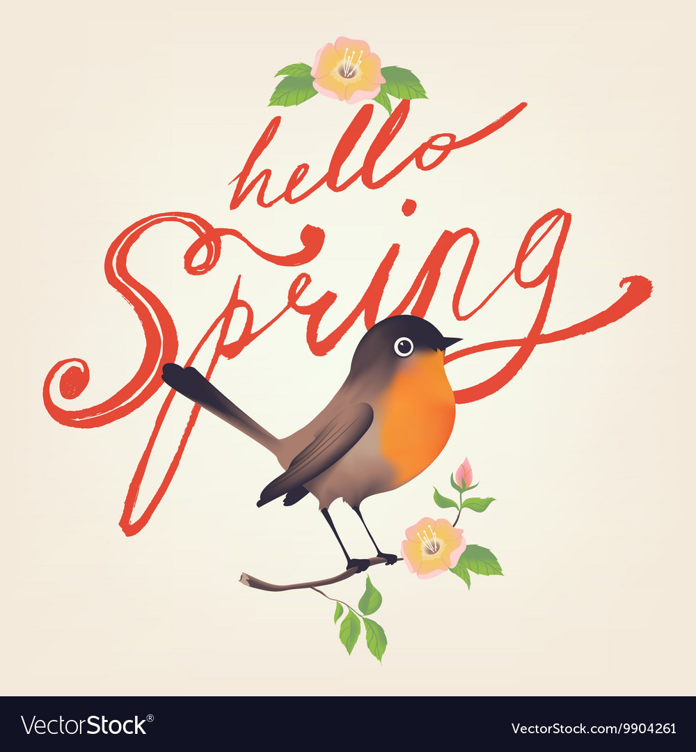 Hello spring banner Royalty Free Vector Image - VectorStock