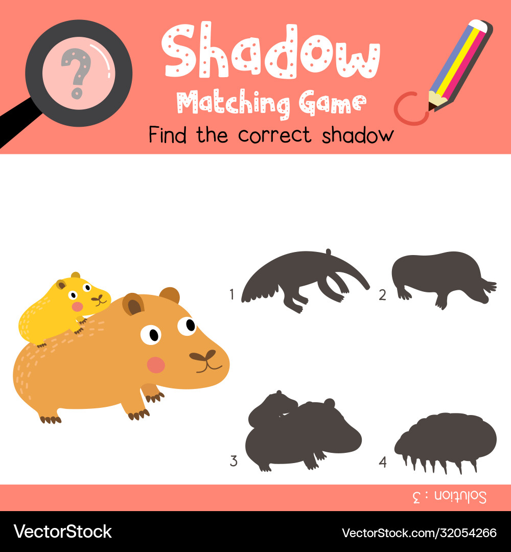 Shadow matching game capybara mother and child Vector Image
