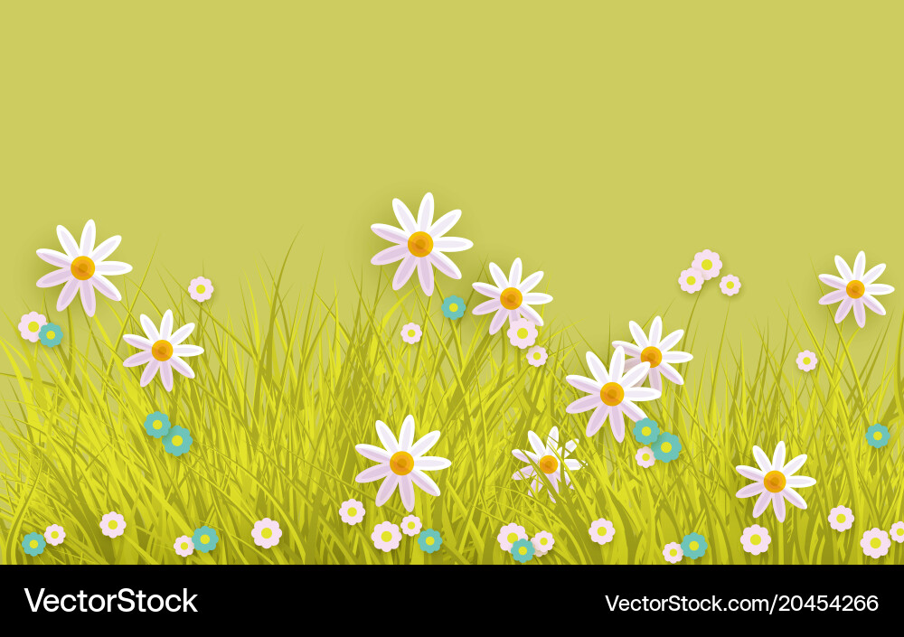 Spring grass and flowers border on green Vector Image