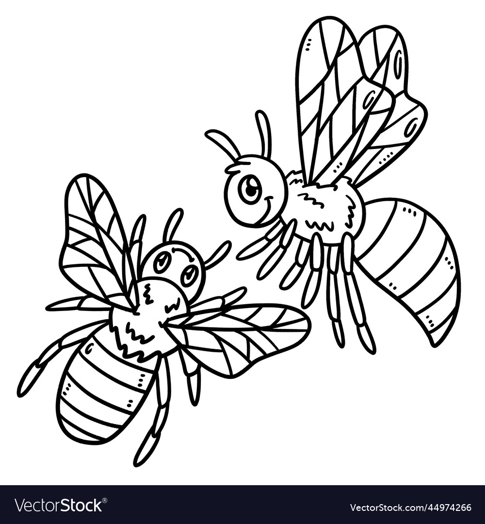 Spring two bees isolated coloring page for kids Vector Image