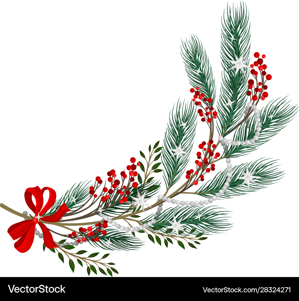 Christmas Tree Branch Vector