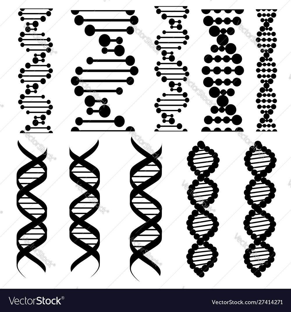 Genetic code twisted dna molecules Royalty Free Vector Image