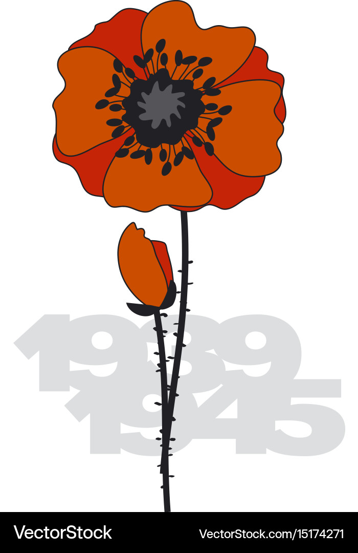 Isolated poppy flower poster Royalty Free Vector Image