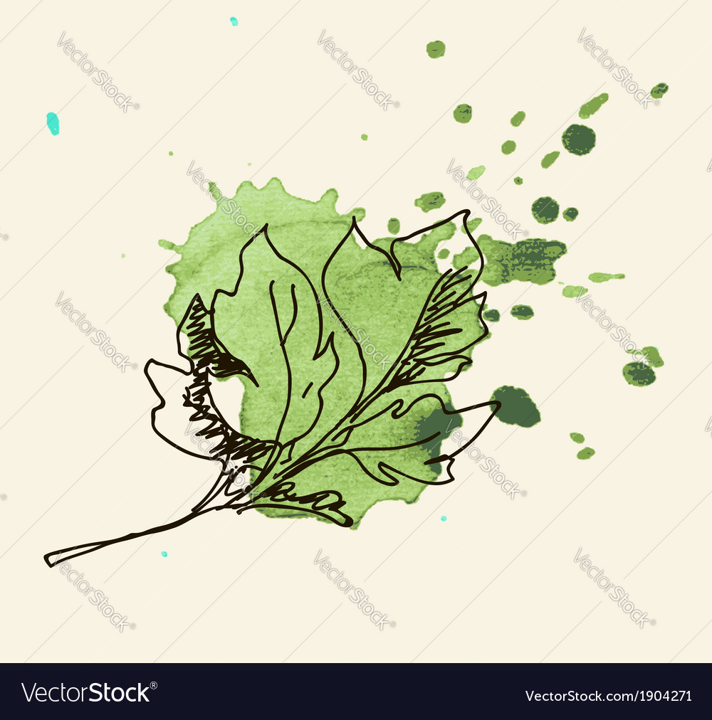 Parsely sketch Royalty Free Vector Image - VectorStock