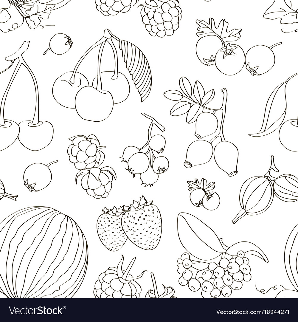 Set different berries pattern Royalty Free Vector Image
