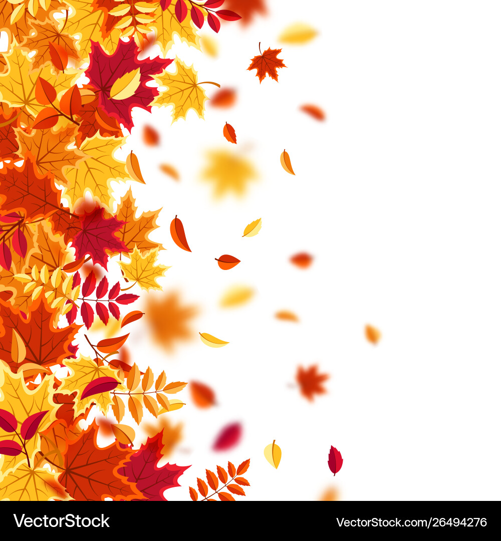 Autumn falling leaves nature background with red Vector Image