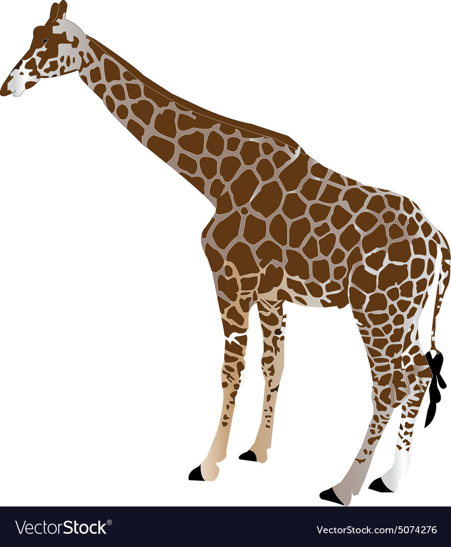 Giraffe Royalty Free Vector Image - VectorStock