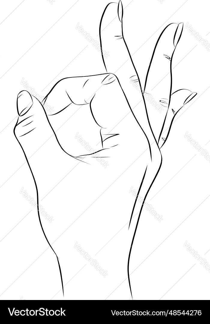 Hand gesture sketch zero sign or okay symbol Vector Image