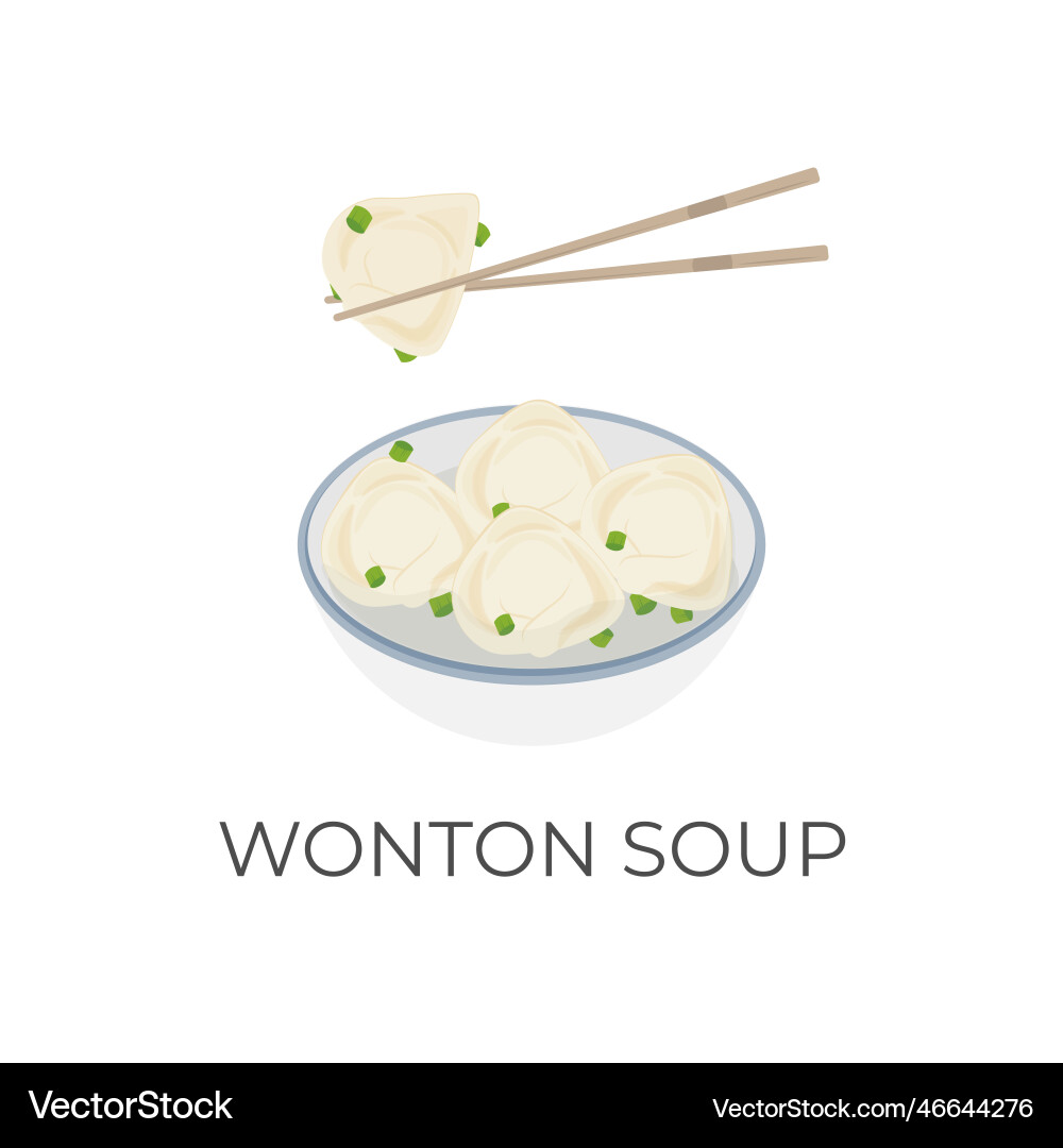 Wonton soup in a bowl Royalty Free Vector Image