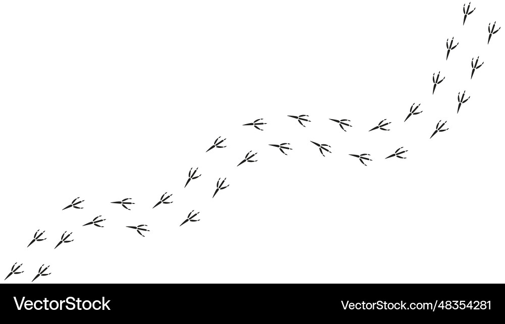Bird Footprint Clipart