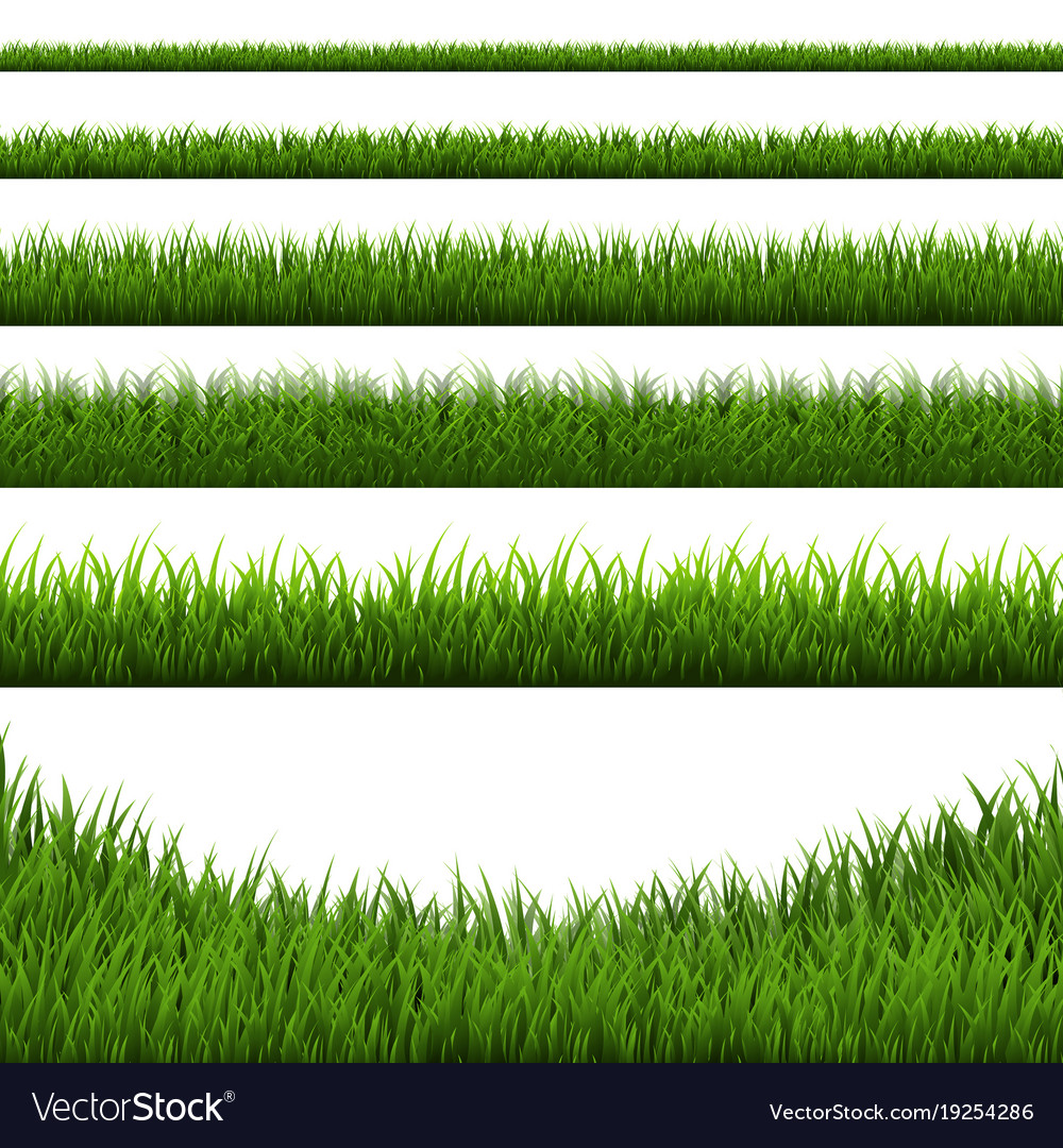 Grass border set Royalty Free Vector Image - VectorStock